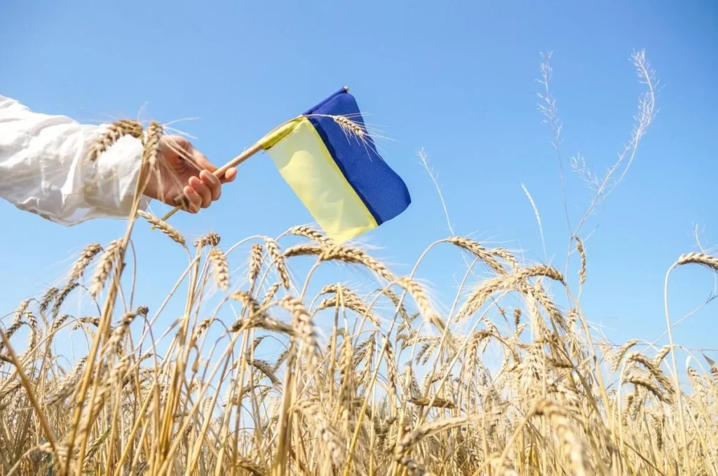 Що таке Страна ЮА - Все, що потрібно знати про інформаційний ресурс